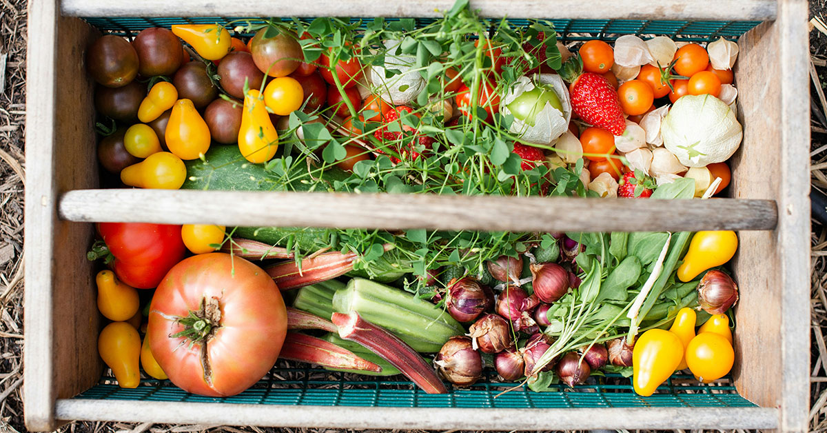 Is Your Payroll System Ready for Harvest Season?